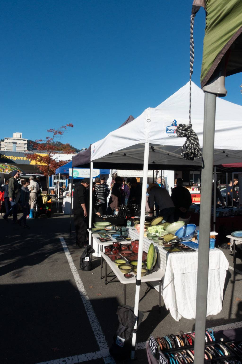 Unsere Highlights rund um Nelson – Backpacker Tipps