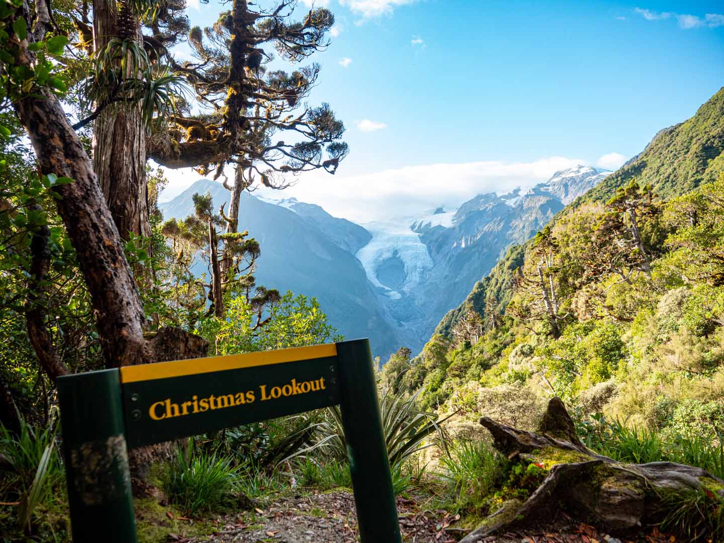 Alex Knob Wanderung mit Sicht auf Franz Josef Glacier